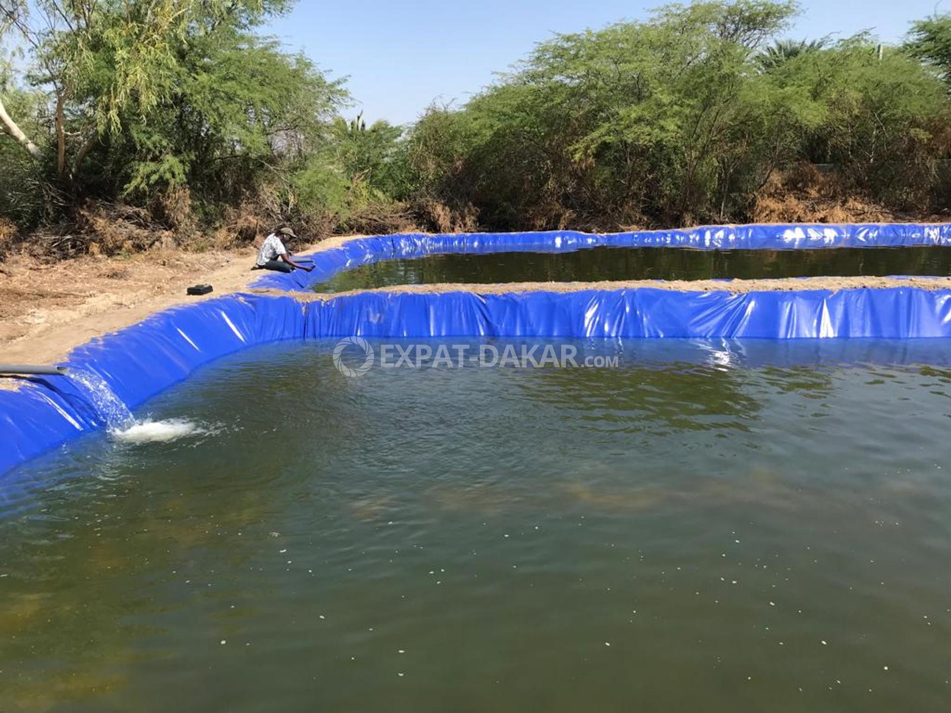 Ferme à Mboro - Mboro | Expat-Dakar