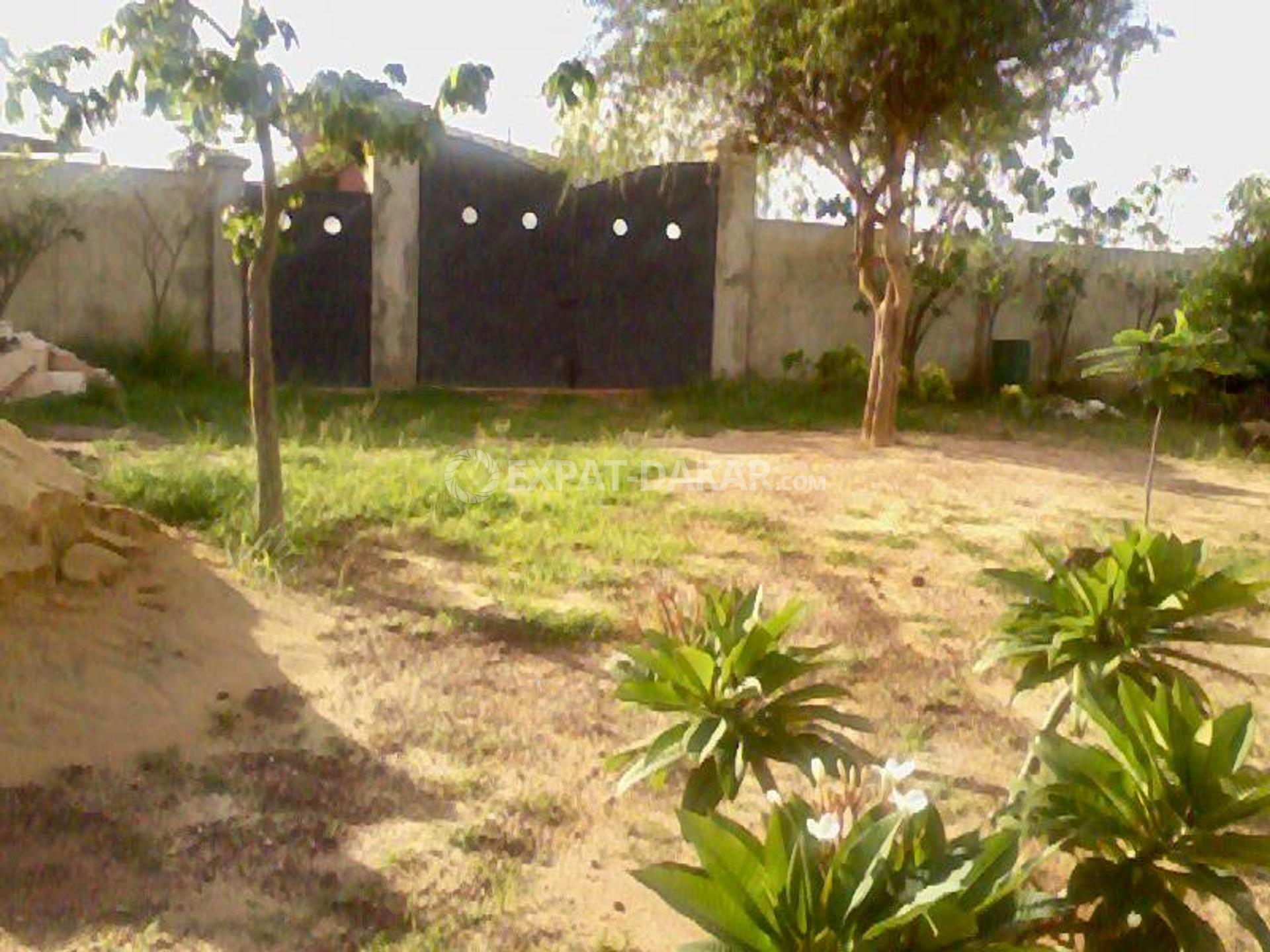 🌴 Terrains a vendre prés de la Reserve de Popenguine - Popenguine ...