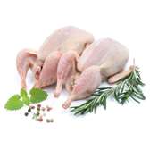 Animaux - Sénégal | Expat-Dakar