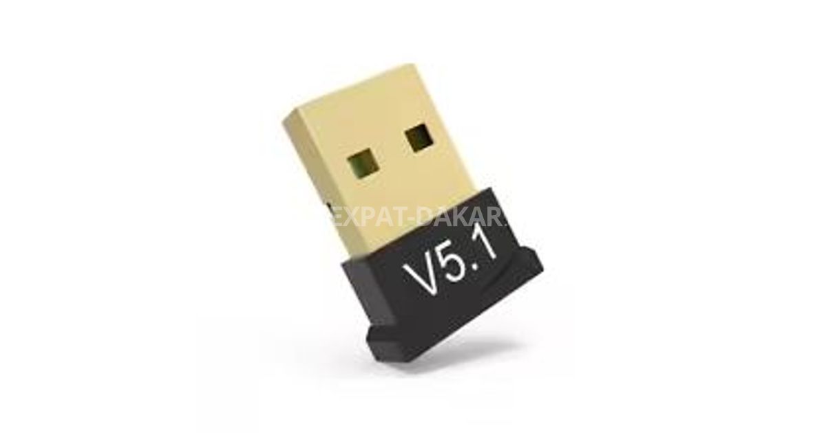Adaptateur USB Bluetooth 5.1 dongle pour PC - Golf | Expat-Dakar