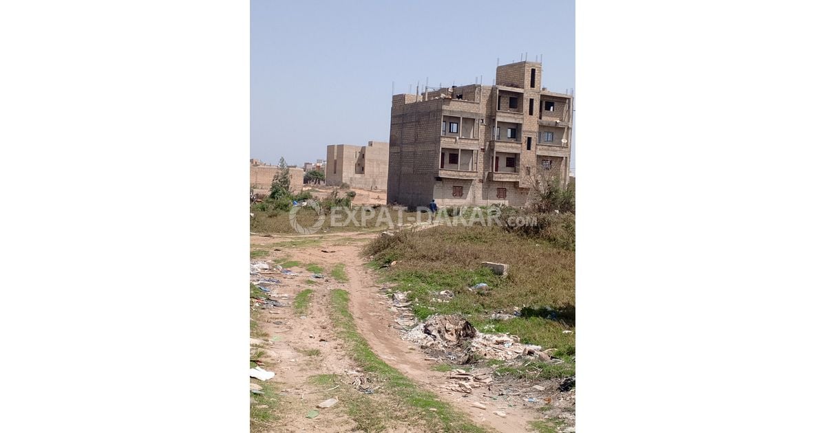 Opérations Tabaski - Tivaouane peulh | Expat-Dakar