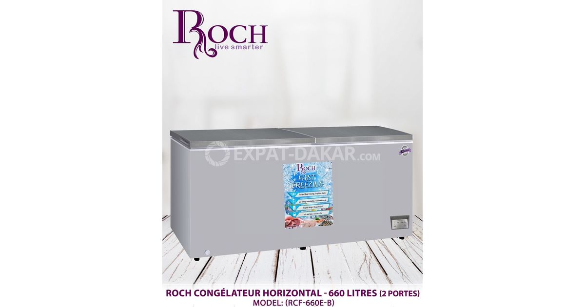 CONGELATEUR ROCH HORIZONTAL 660LITRES 2PORTES SILVER - Plateau | Expat ...