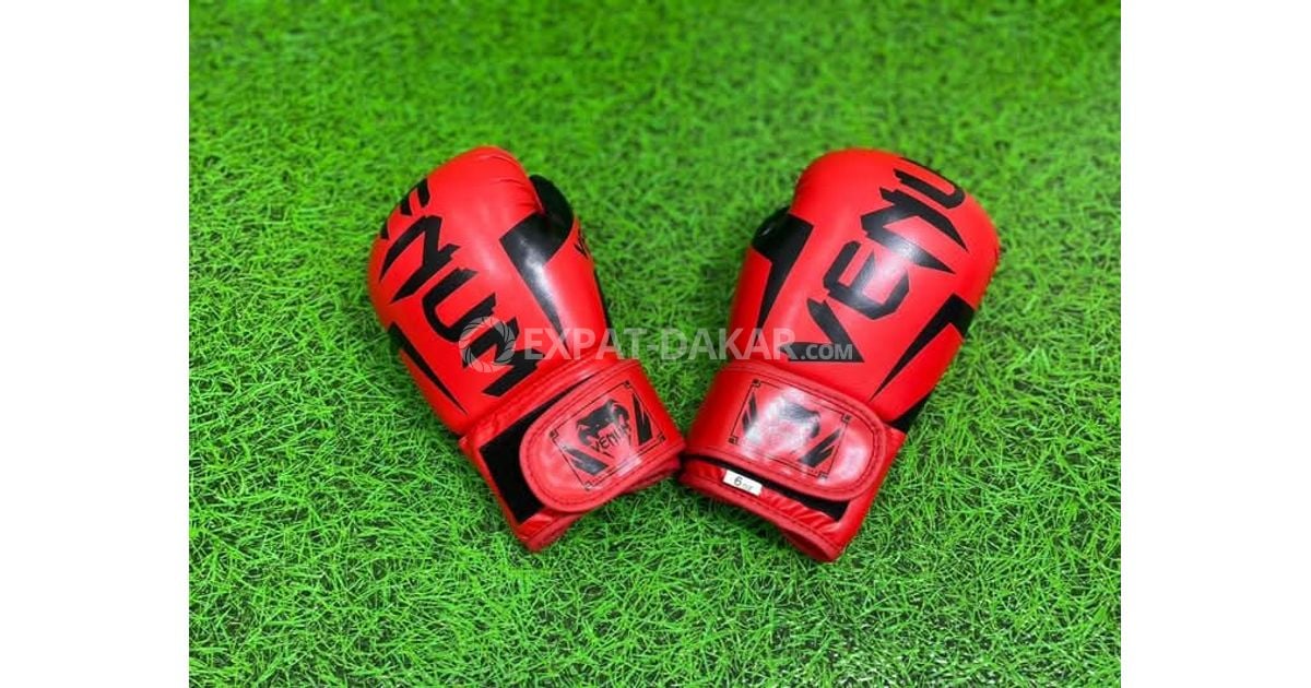 Gants de boxe Venum - Castor | Expat-Dakar