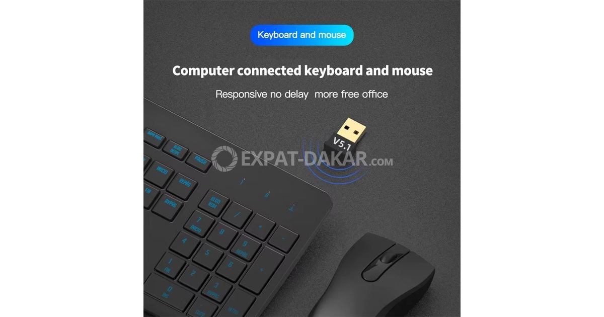 Adaptateur USB Bluetooth 5.1 dongle pour PC - Golf | Expat-Dakar