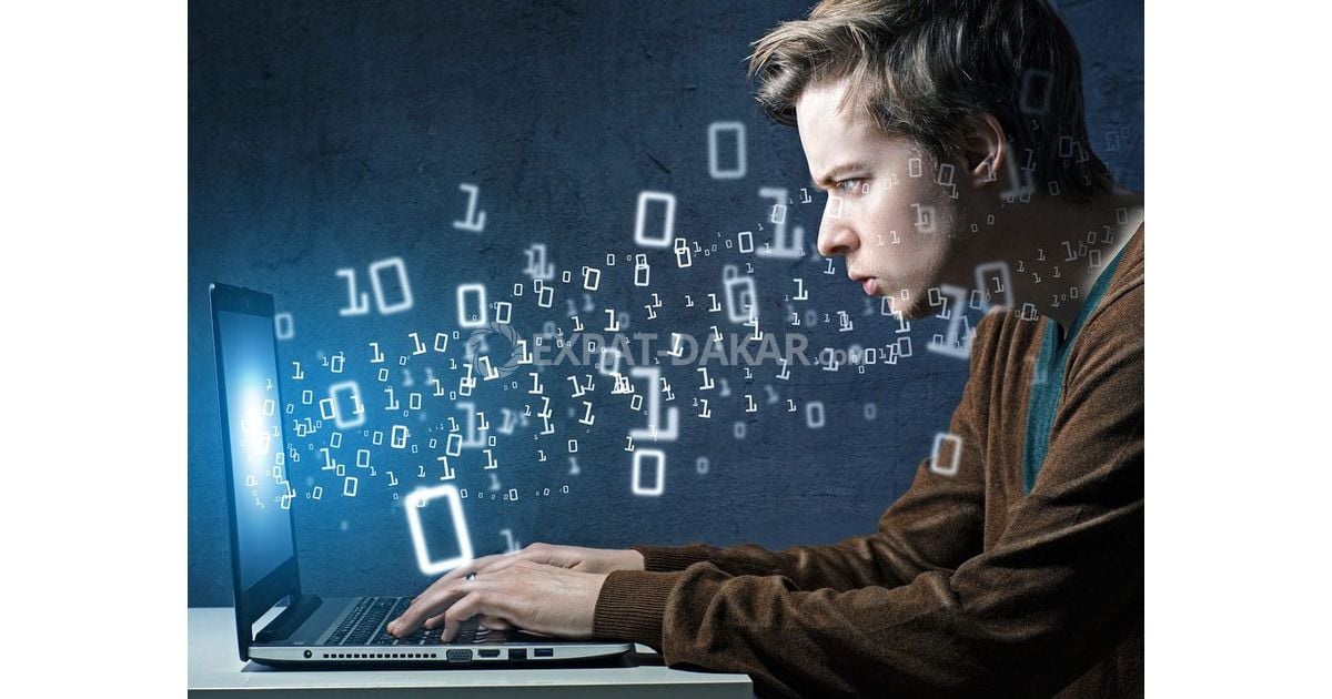 Saisie et maîtrise des outils informatiques - Fann | Expat-Dakar