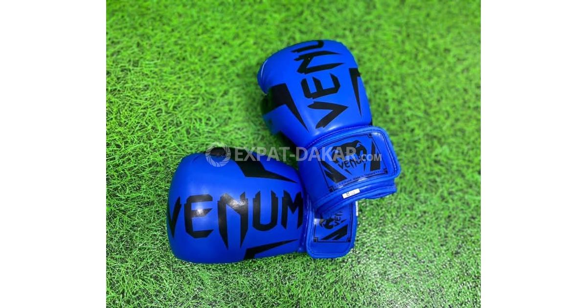 Gants de boxe Venum - Castor | Expat-Dakar