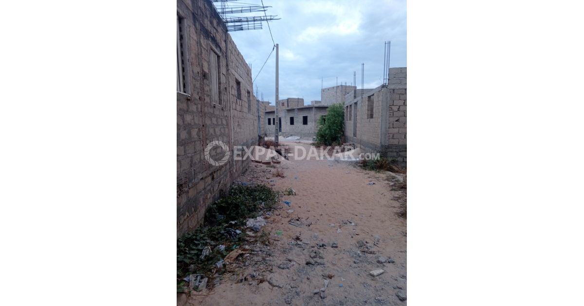 Opérations Tabaski - Tivaouane peulh | Expat-Dakar