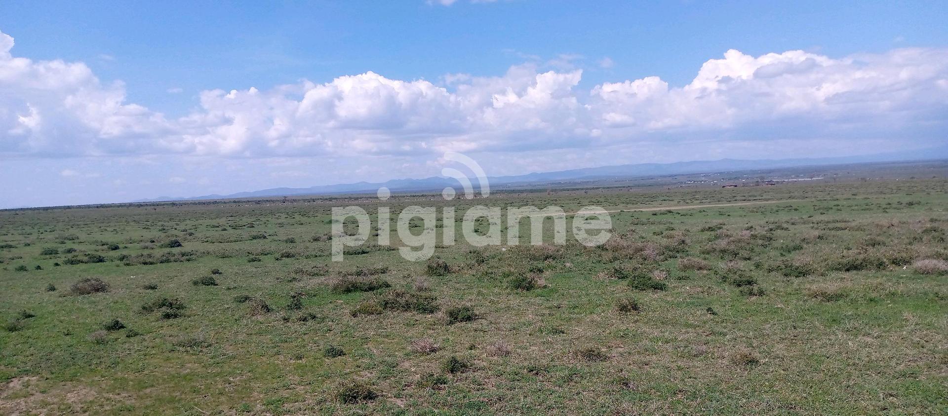 Oasis Gardens Rumuruti in Laikipia | PigiaMe