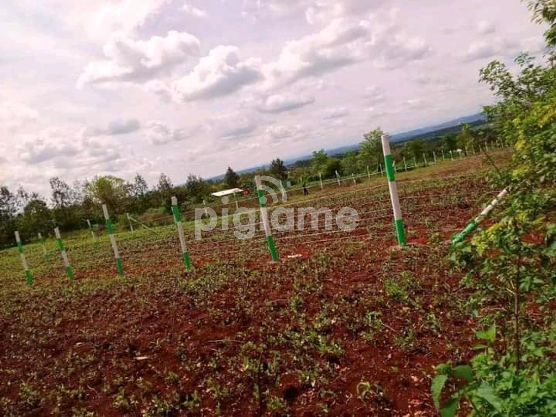 Prime Plots For Sale in Nairobi | PigiaMe
