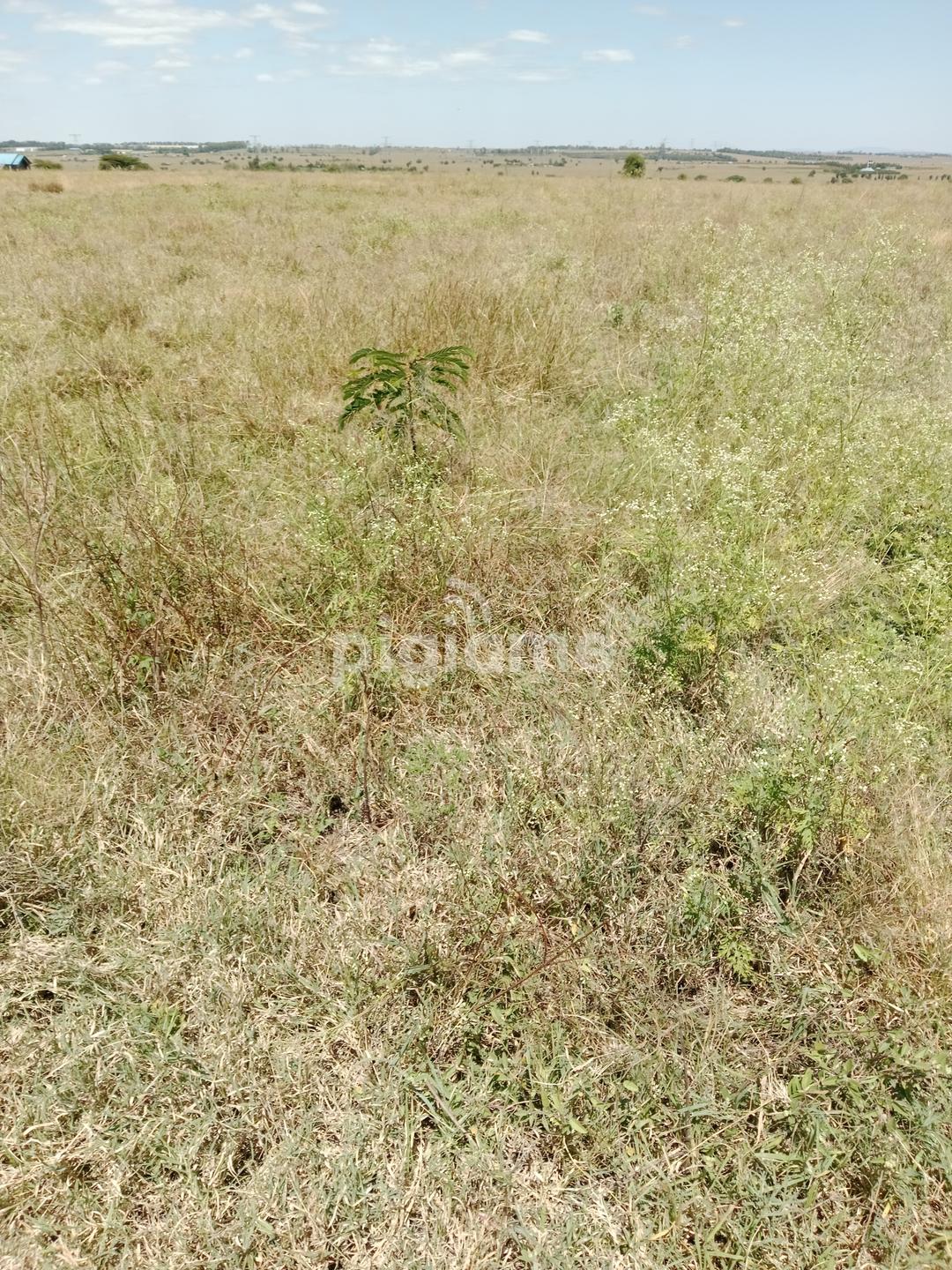 Land In Kamulu in Eastern | PigiaMe