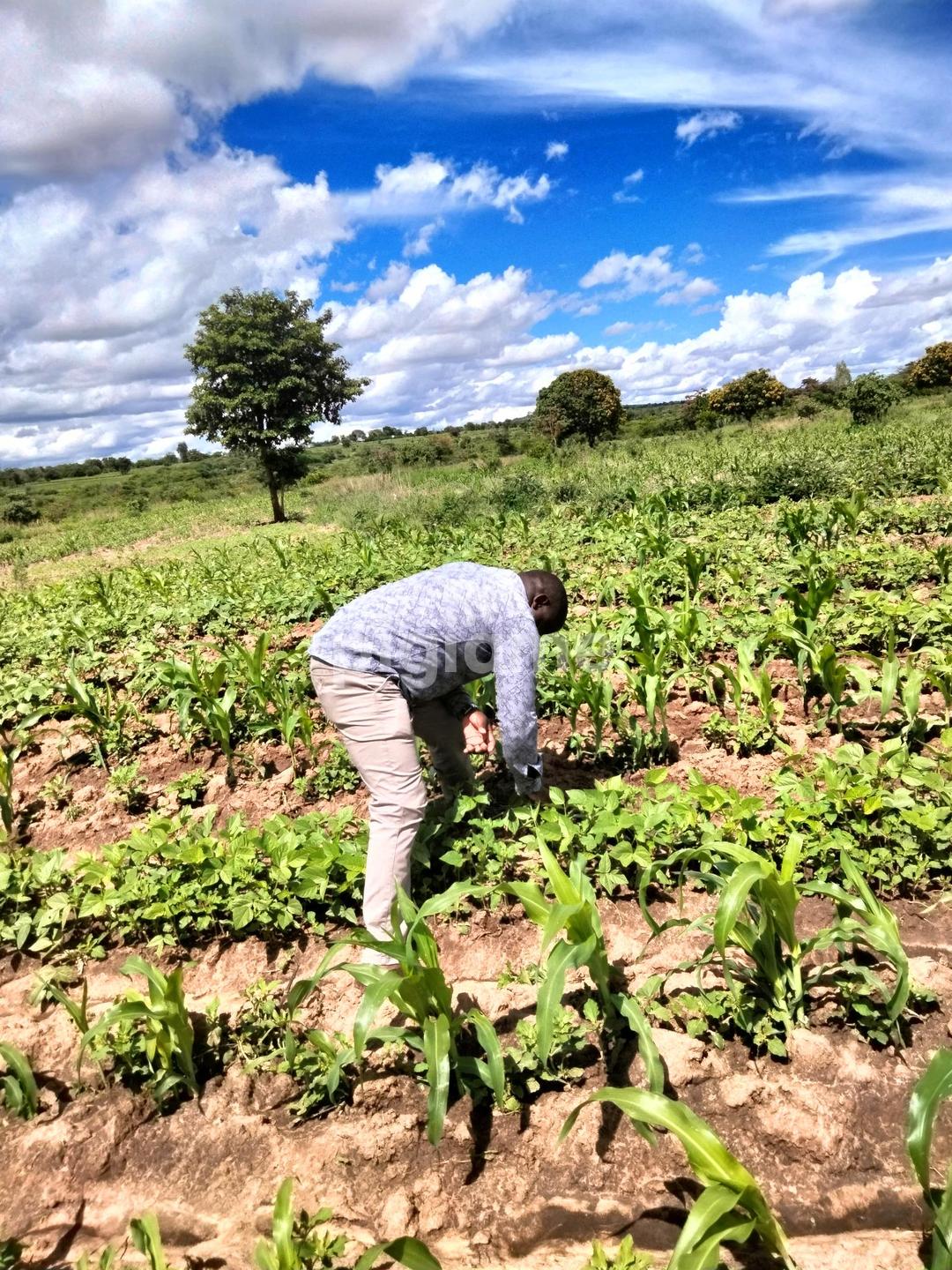 Matuu Kavwea Town Prime Plots in Machakos | PigiaMe