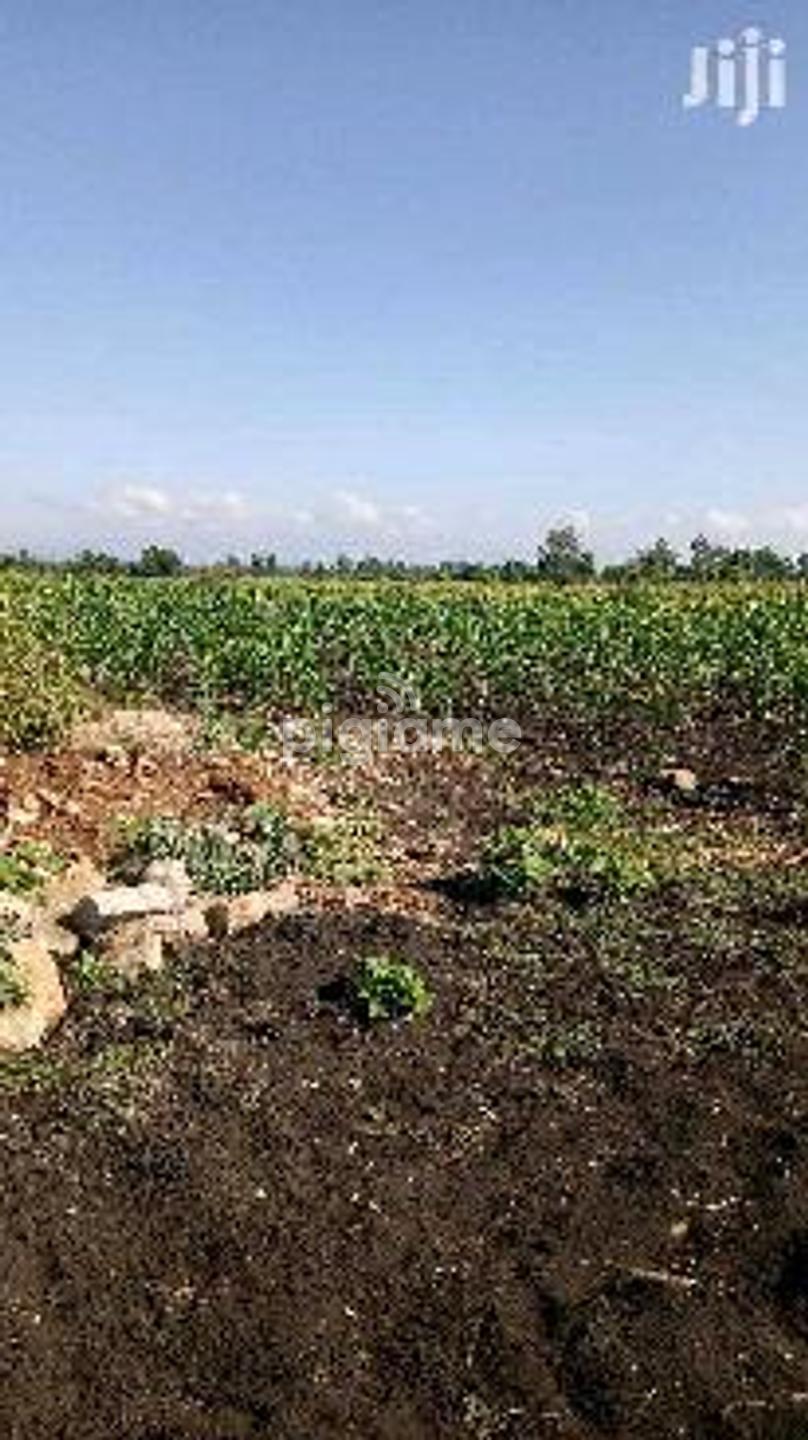 Fertile 1-Acre Farmland With Rich Soil & Water Access in Laikipia | PigiaMe