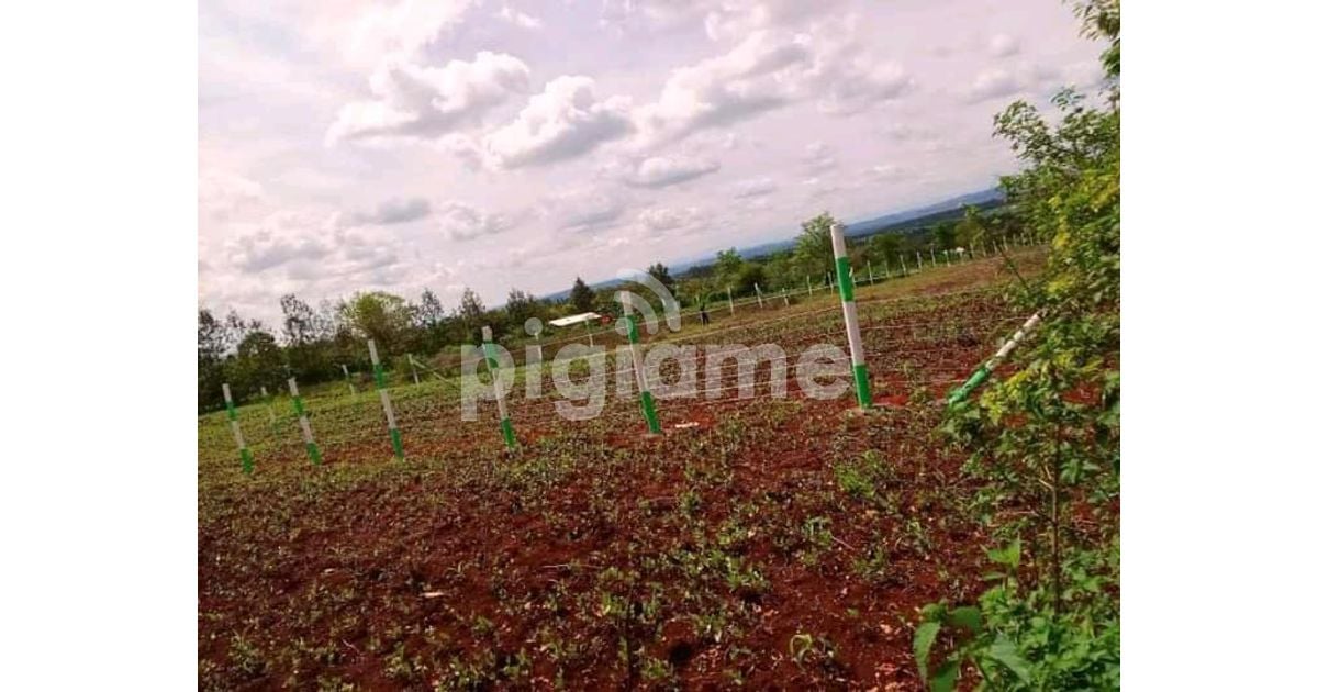 Prime Plots For Sale in Nairobi | PigiaMe