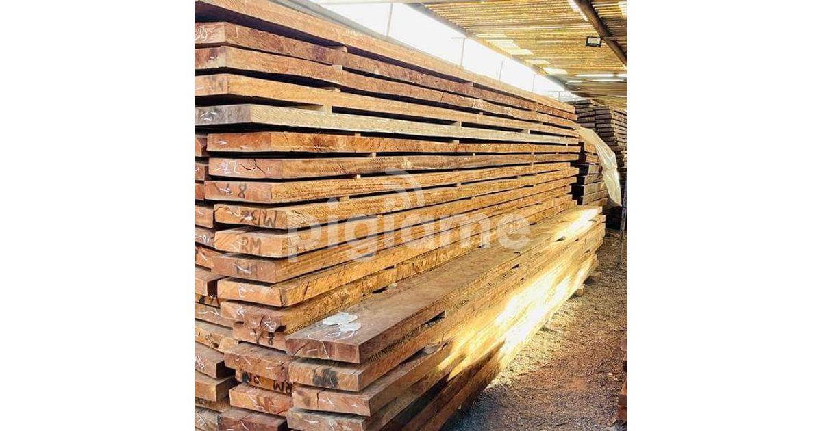 Camphor,Teak &Mvule Timber in Nairobi West | PigiaMe
