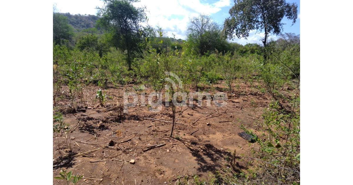 2 Acres Available In Tharaka Constituency Marimanti Location in Meru ...