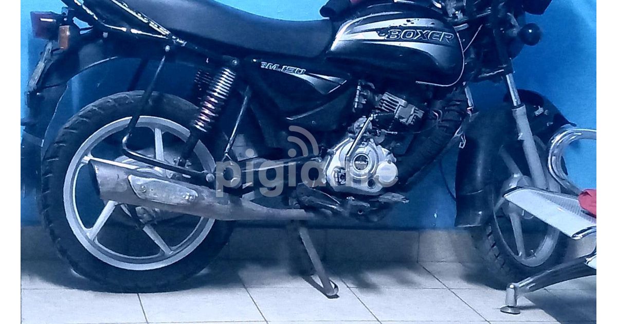 Boxer 150Cc in Pipeline | PigiaMe