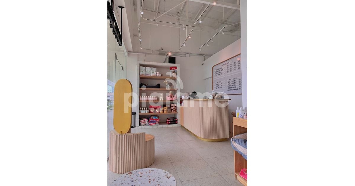 Reception Desks And Gypsum Ceiling. in Donholm | PigiaMe