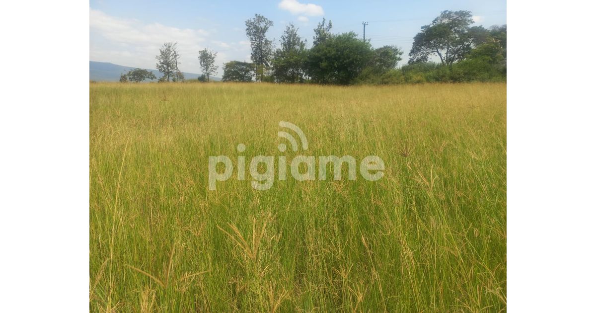 80 Acres On Thika River Ngoliba Is Available For Lease in Ngoliba | PigiaMe
