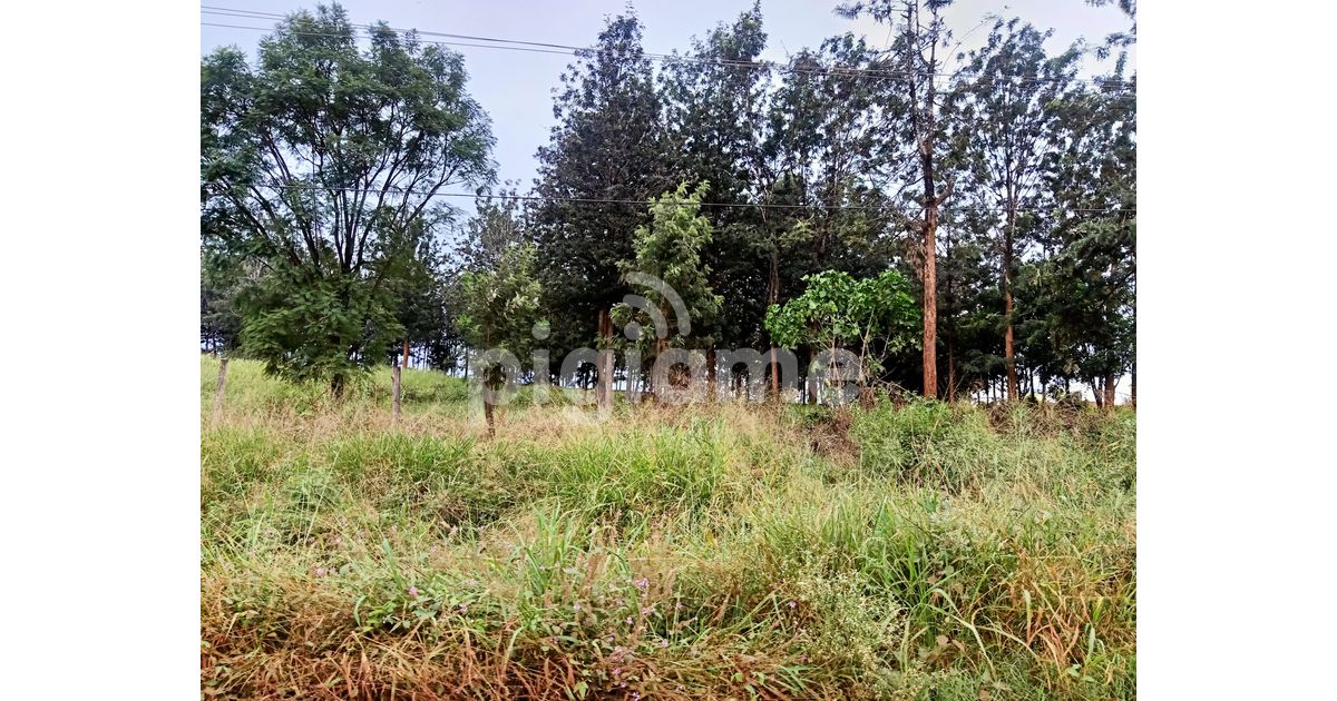 5 Ac Land At Behind The New Runda Mall Along Kiambu Road in Nairobi ...