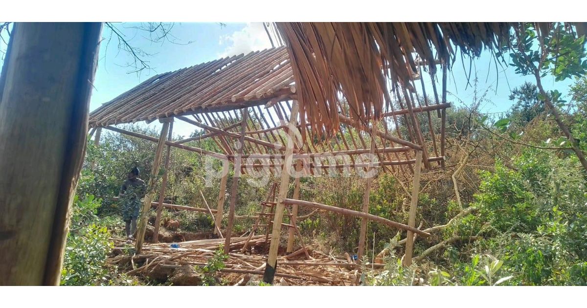 Makuti Roofing Construction in Ruai, Kamulu | PigiaMe
