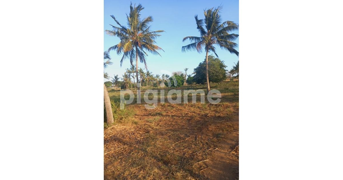 Land At Mavueni Kaloleni Road in Coast | PigiaMe
