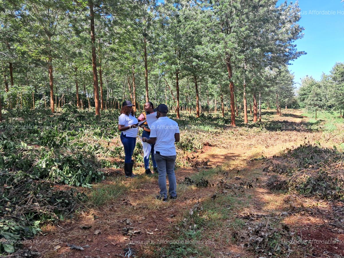 Residential Land in Ruiru | BuyRentKenya