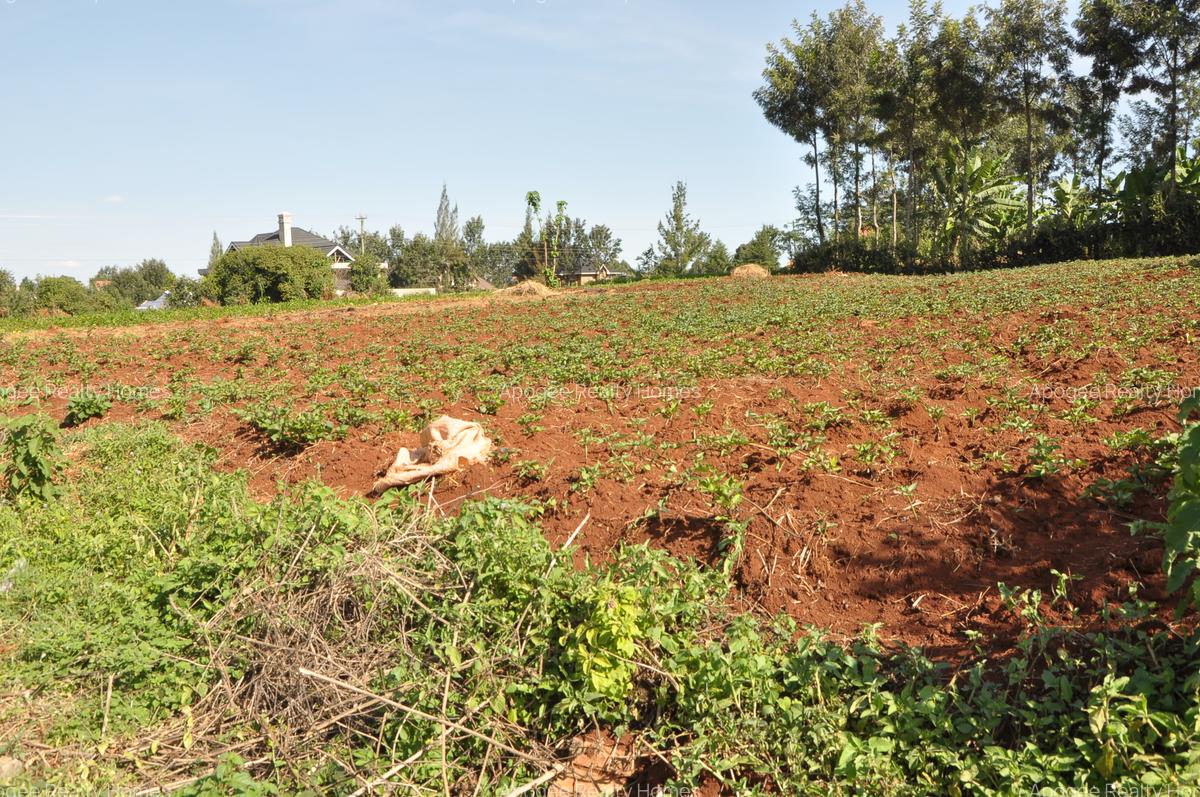 2,023.43 m² Land at Mushroom Gardens | BuyRentKenya