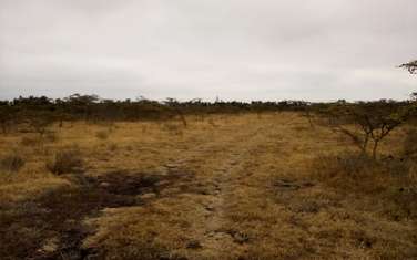 Land for Sale in Ongata Rongai, Kajiado County | BuyRentKenya