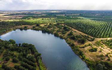 Residential Land for Sale in Kenya | BuyRentKenya