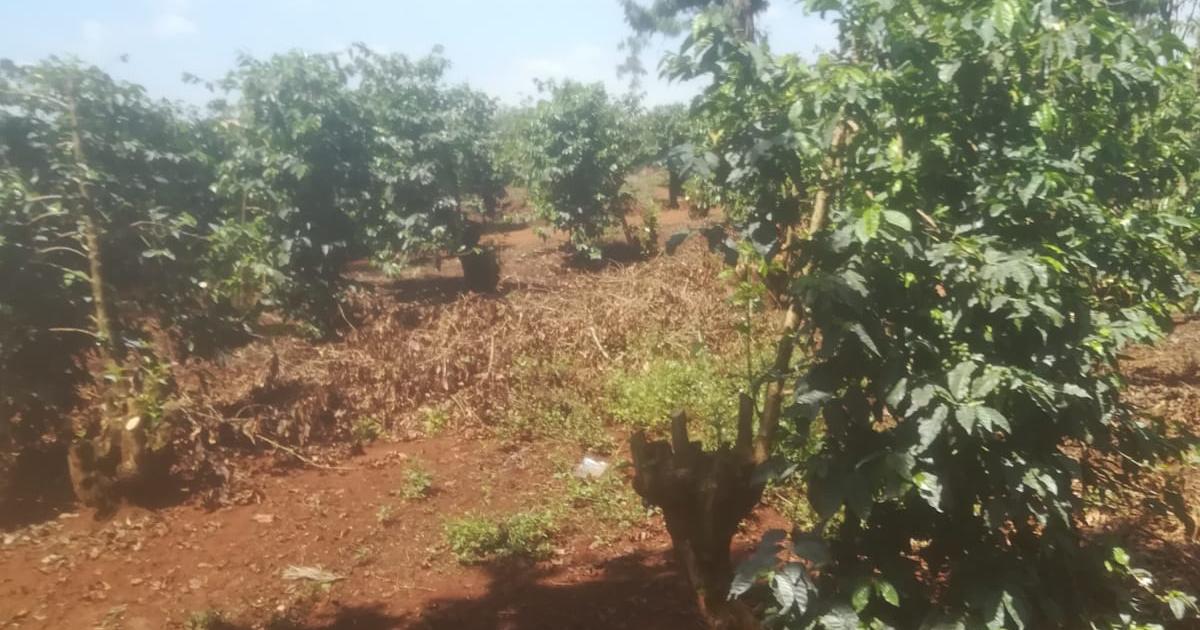 550 ac Land at Kiambu County | BuyRentKenya