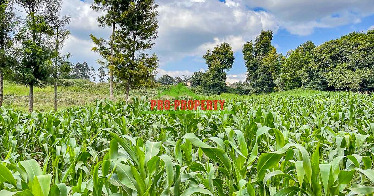 7.5 ac Land in Kikuyu Town | BuyRentKenya