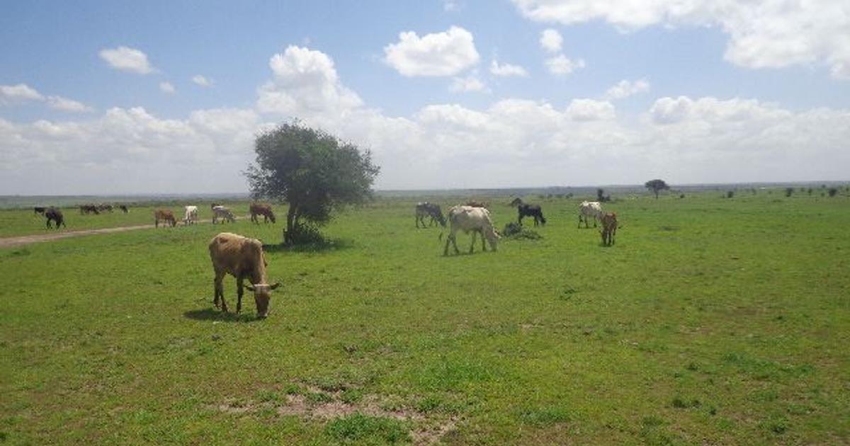 882,246 m² Commercial Land at Kitengela | BuyRentKenya