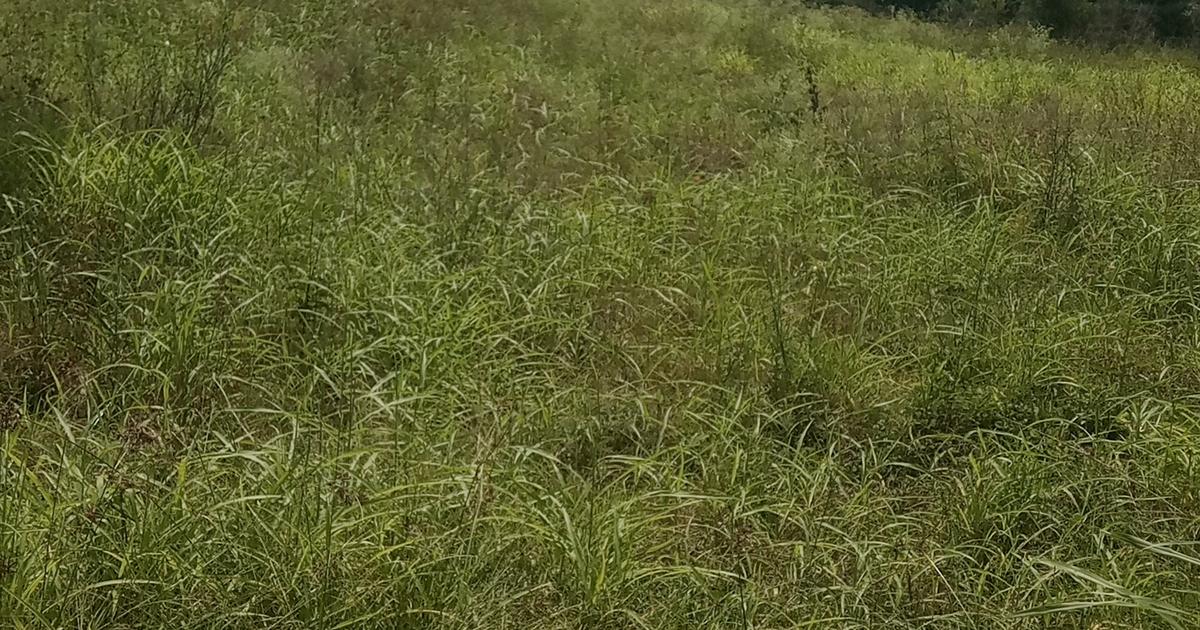 Residential Land at Utawala | BuyRentKenya