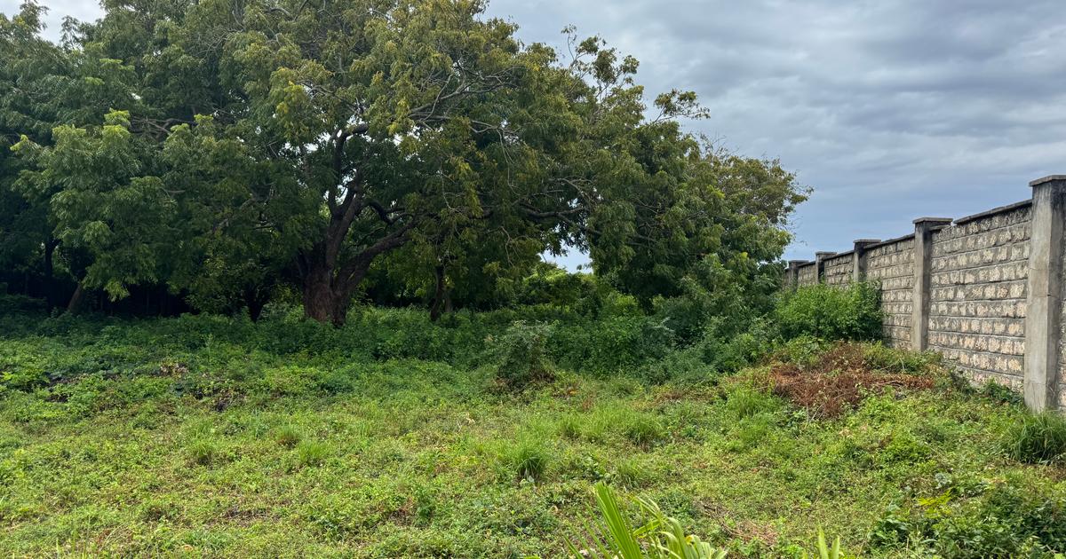 10 ac Land in Vipingo | BuyRentKenya
