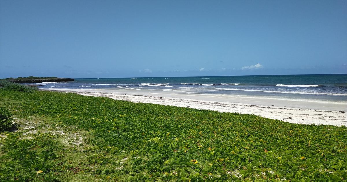 Land in Bofa | BuyRentKenya