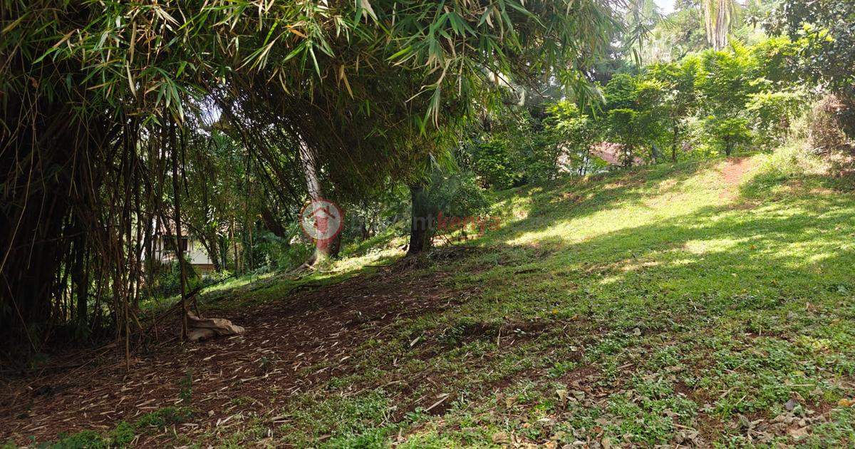 1.2 ac Land in Kyuna | BuyRentKenya