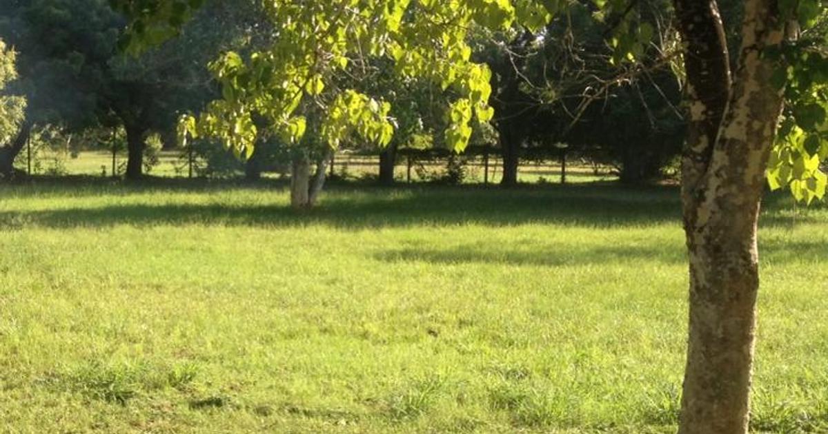 Land in Bofa | BuyRentKenya