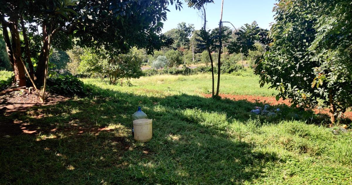 1.5 ac Land in Runda | BuyRentKenya