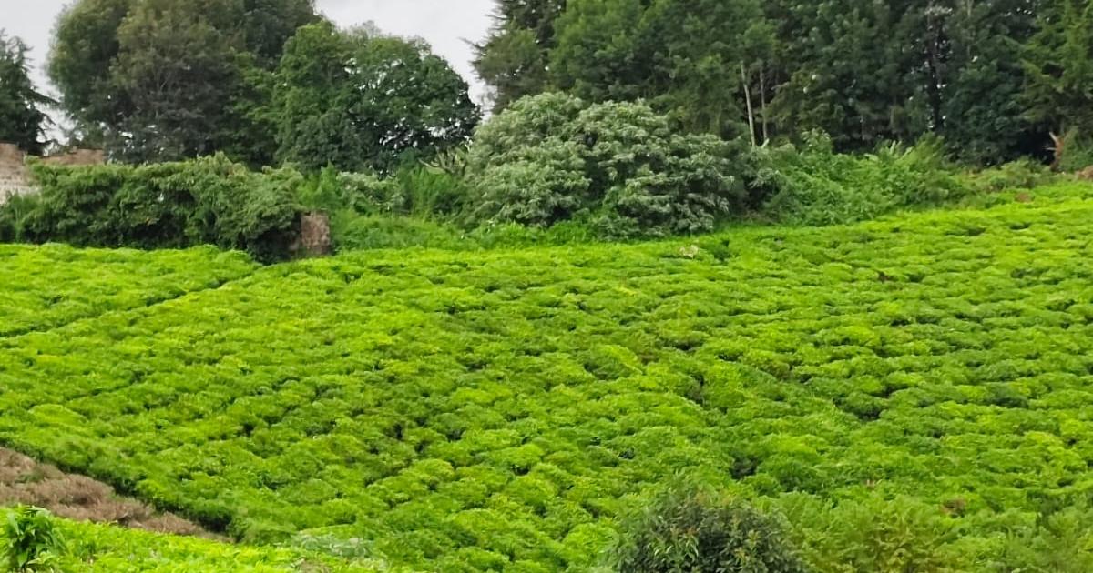 Land at Githiga Road | BuyRentKenya