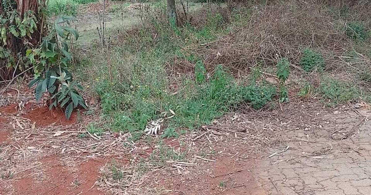 0.25 ac Land at Kerarapon Drive | BuyRentKenya