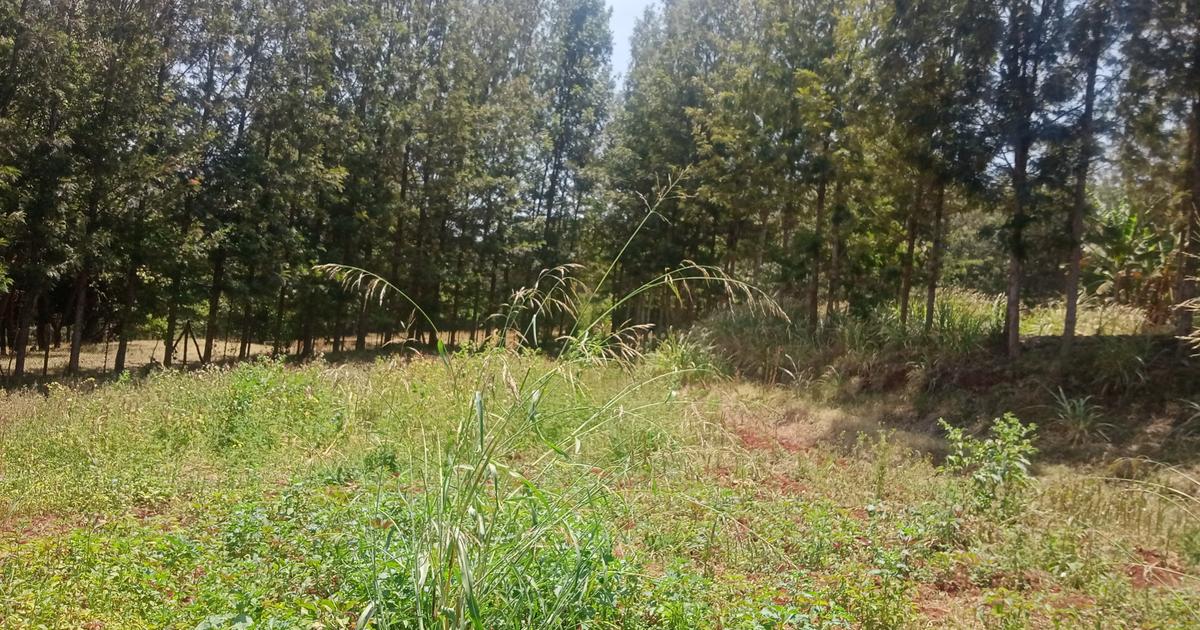 Land at Ololua Ridge | BuyRentKenya