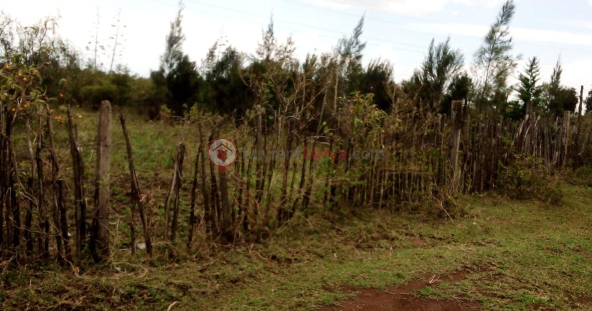 0.25 ac Land at Nyamathi | BuyRentKenya