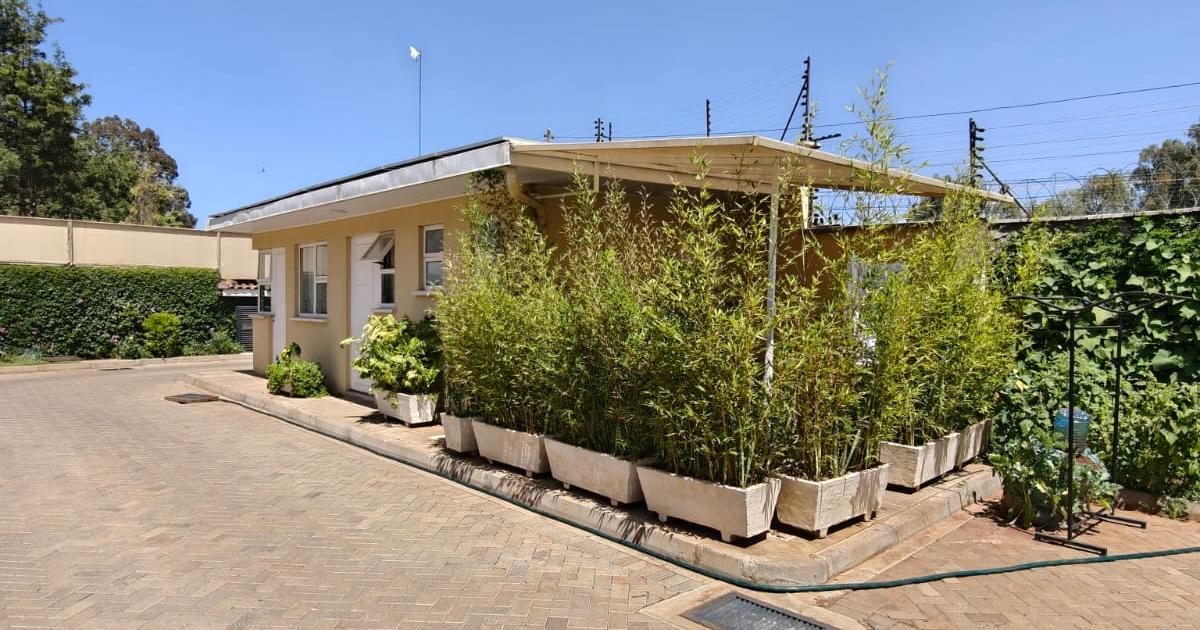 Furnished Bedsitter in Karen | BuyRentKenya