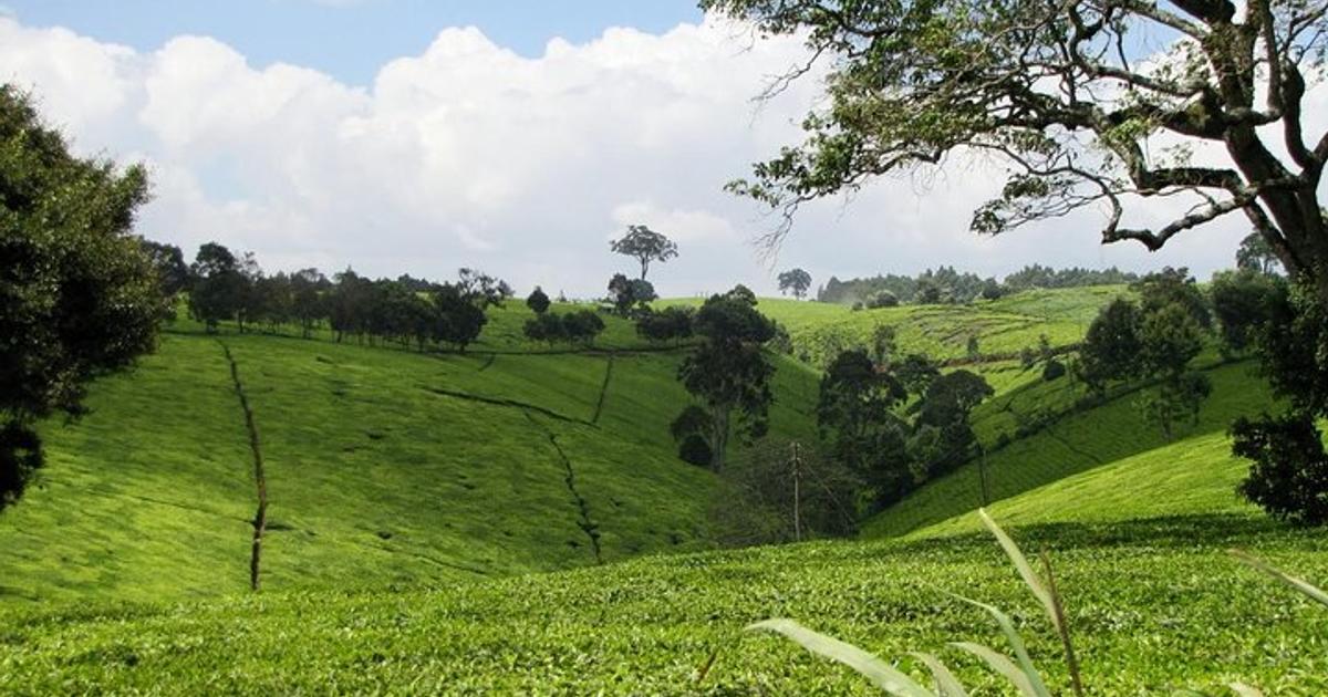 20 ac Land at Riara Ridge | BuyRentKenya