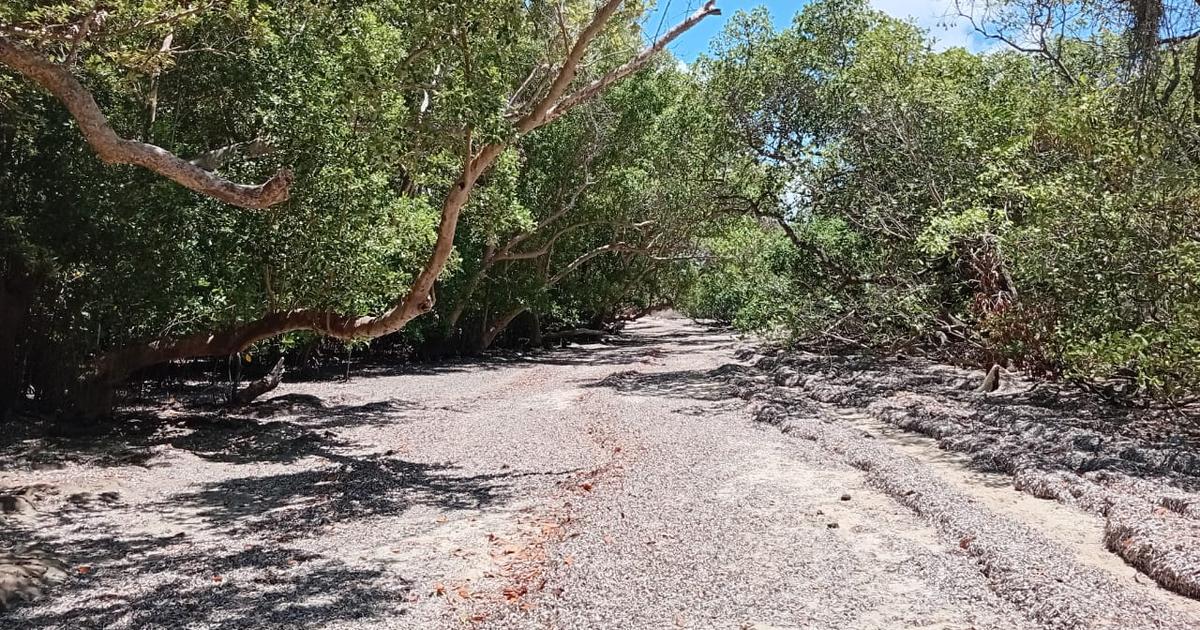 Land at Funzi | BuyRentKenya