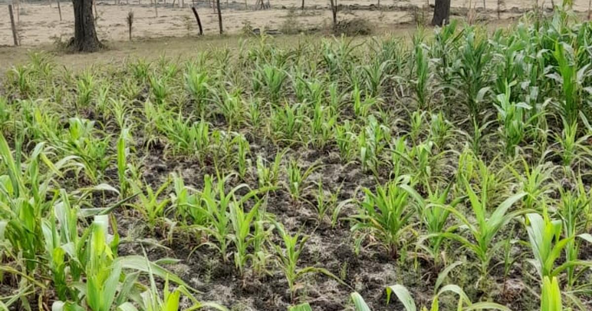 0.113 ac Residential Land in Ongata Rongai | BuyRentKenya