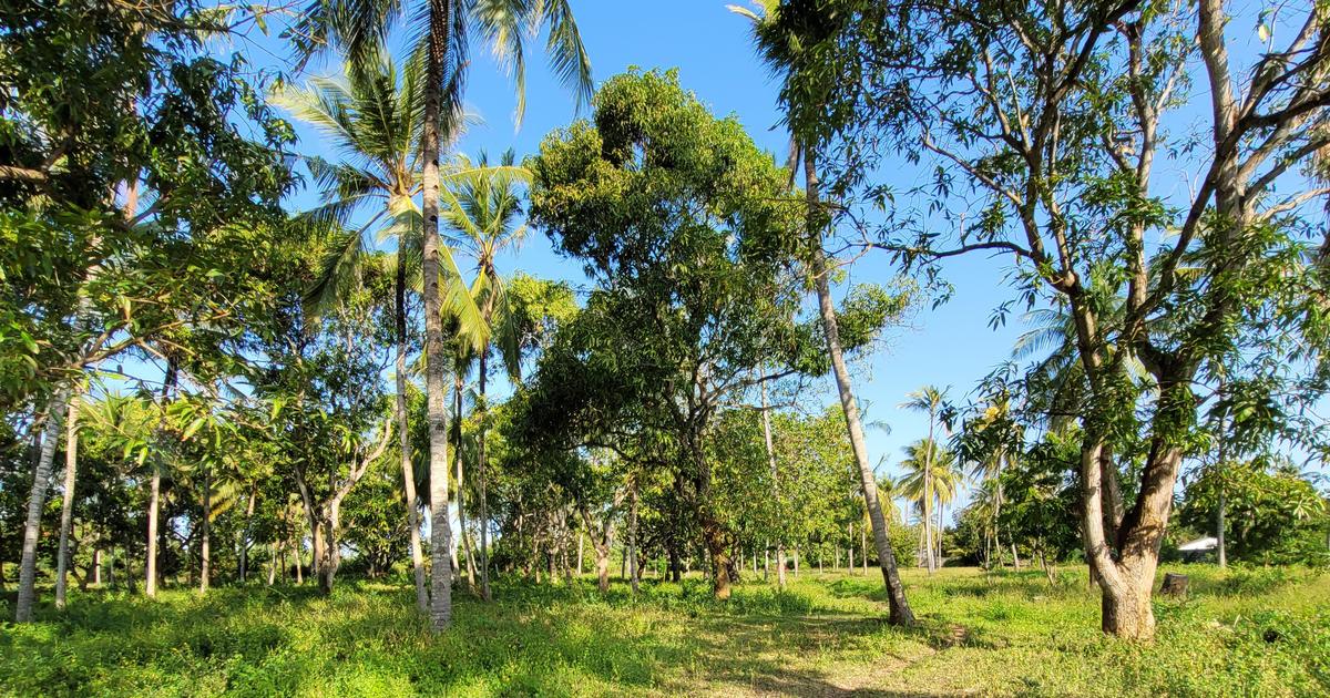 Residential Land in Nyali Area | BuyRentKenya