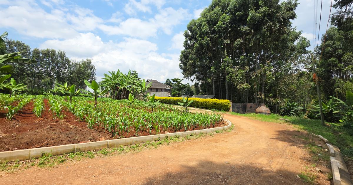0.5 ac Land in Kiambu Road | BuyRentKenya