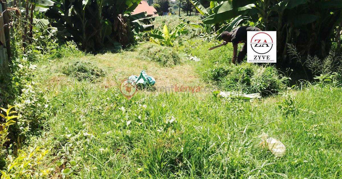 0.125 ac Land at Near Sacred Hearts Dispensary | BuyRentKenya