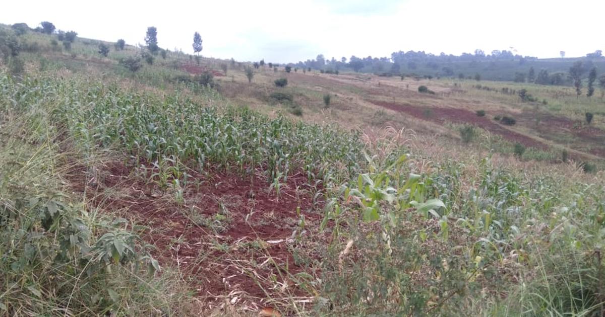 64,000 ft² Land in Kiambu Town for KSh 2,200,000 | BuyRentKenya
